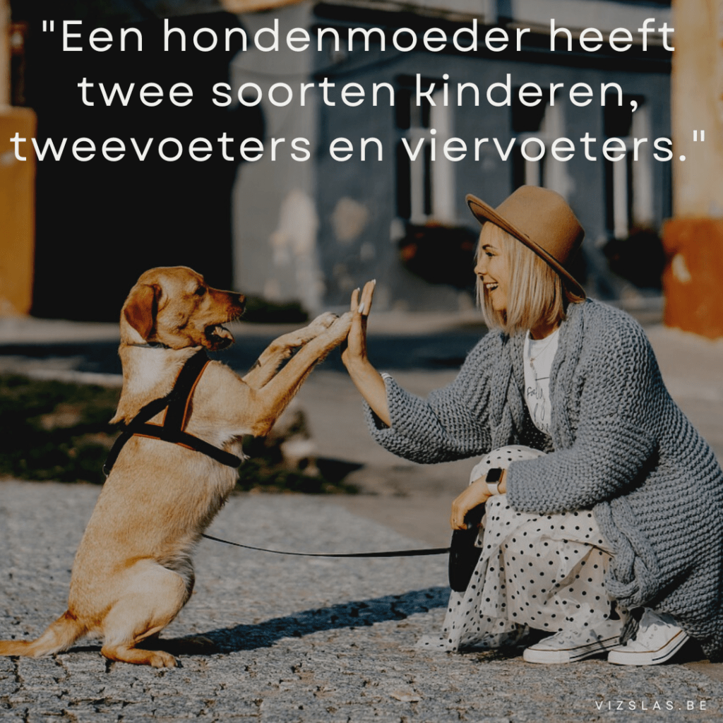 Afscheid hond quotes: de mooiste verlies hond teksten | Vizslas.be